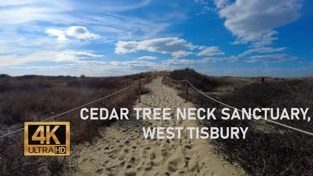 Cedar Tree Neck Sanctuary, West Tisbury